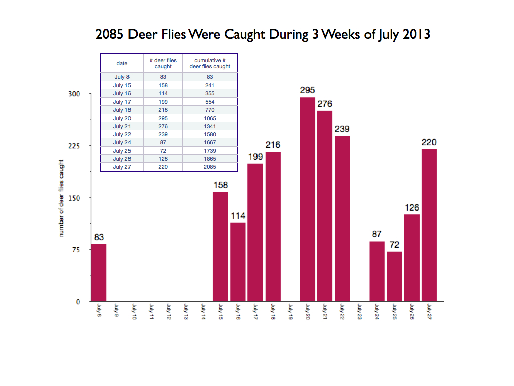 Trapping Deer Flies in Livingston County, Michigan: Our Deer Fly ...