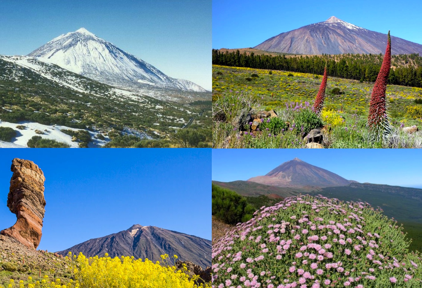 Las Islas Canarias: ¡Qué bonito!: El Teide, Tenerife