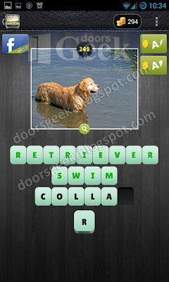 Words in a Pic - Level 249 ~ Doors Geek