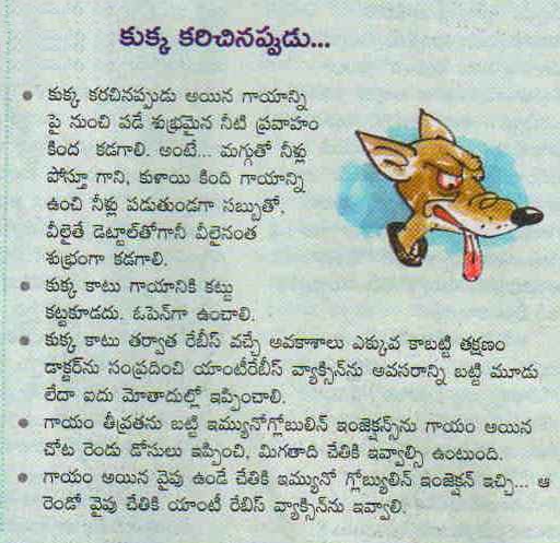 TELUGU WEB WORLD: BEWARE - DOG BITE - STEPS - REMEDY - PRECAUTION AND ...