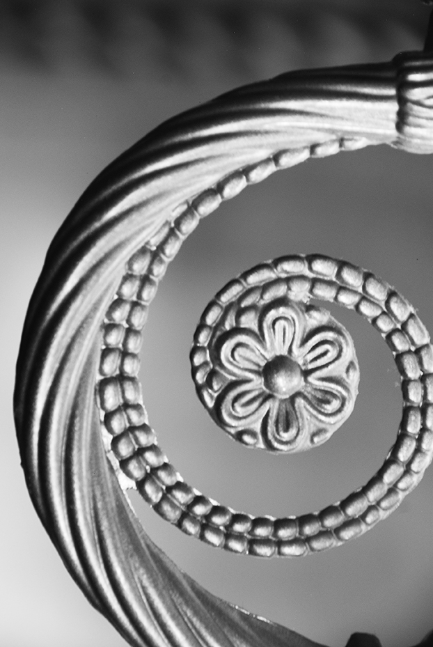 My Cup Overflows: Alphabet Photography