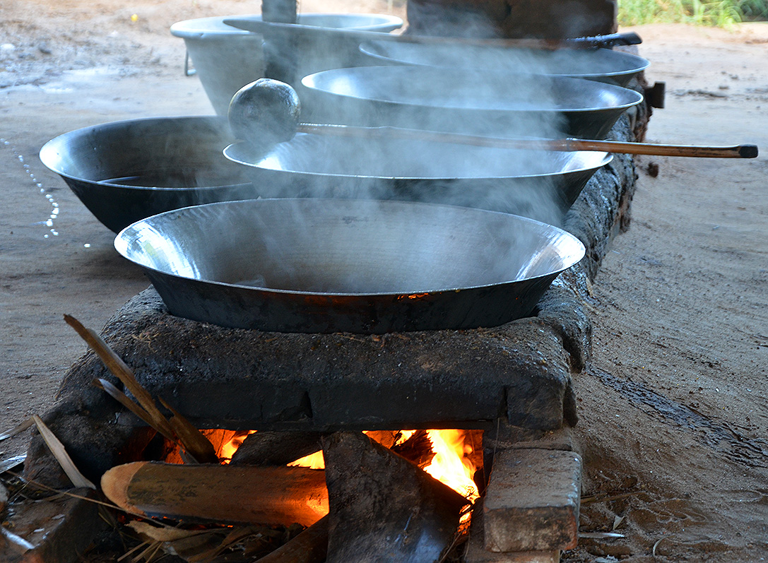 Earth-Roamers : Myanmar - Alcohol from palm trees