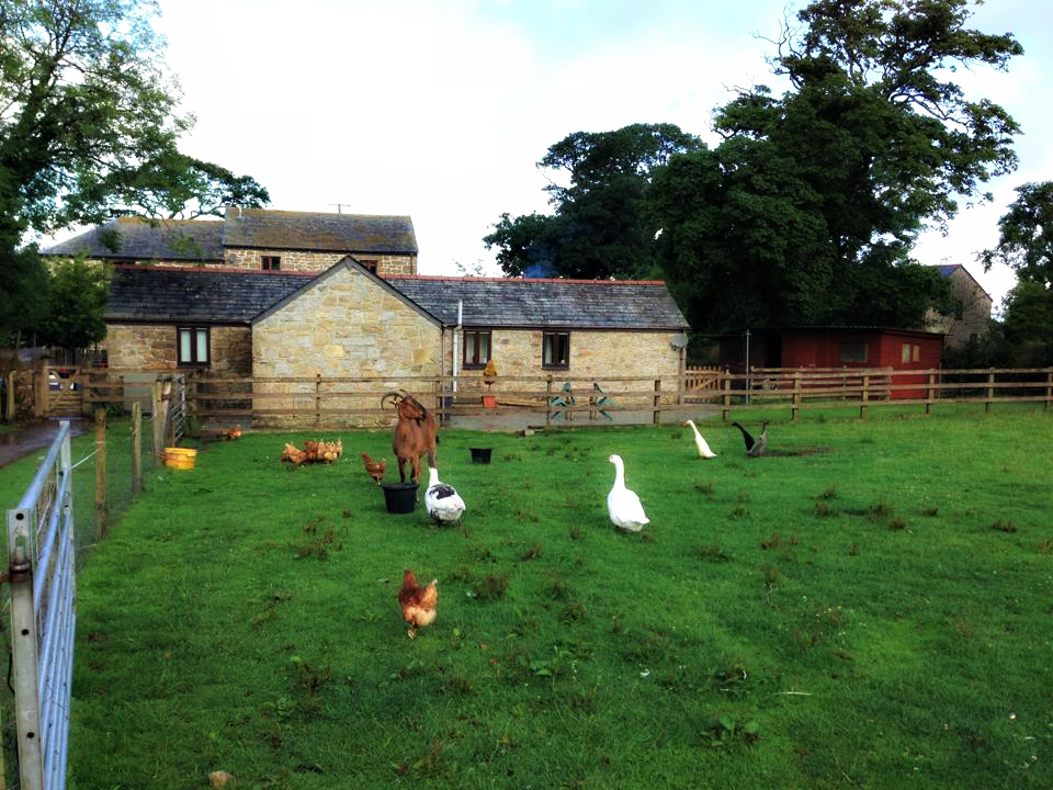 Chark Farm, Redmoor, Cornwall | Little Apple Tree
