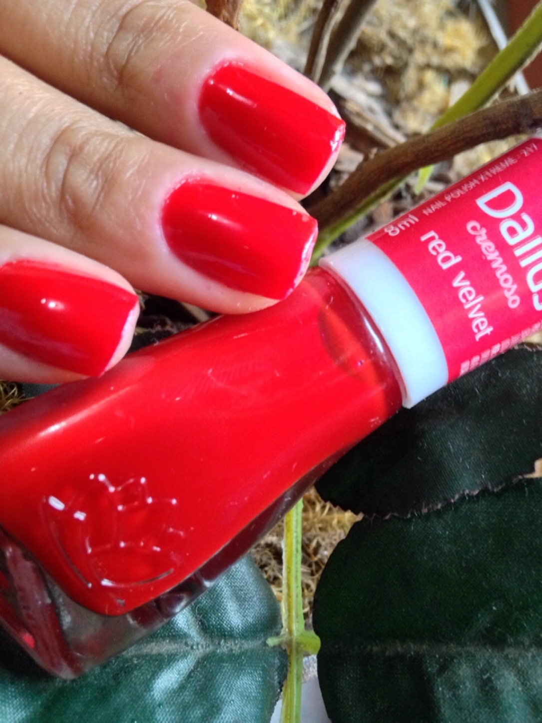 Chanel Platinada: Red Velvet da Dailus