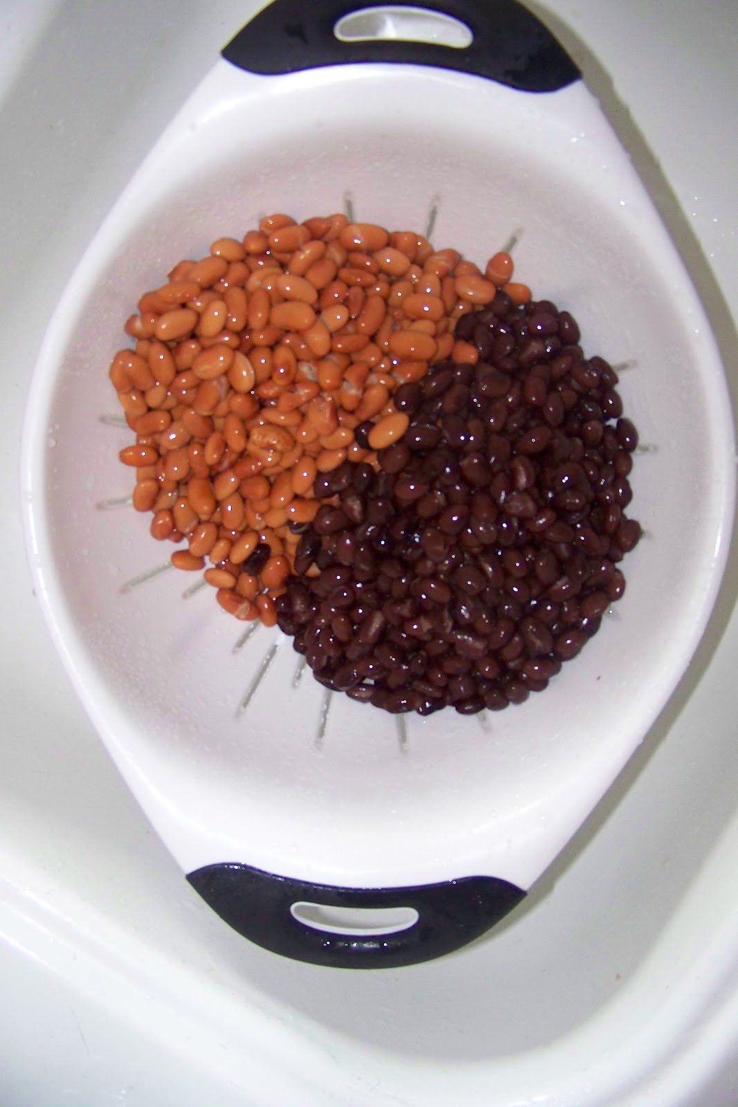 anything they can do i can do better, healthier, and cheaper!: Never ...