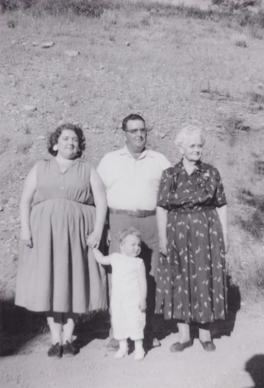 Foote-steps to My Past: Foote Family History and Beyond: Luella Cook ...