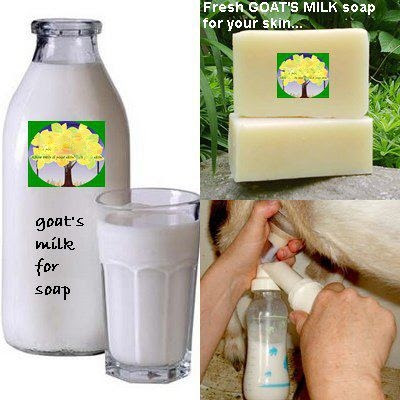 Body Talk Organic whitening and anti-aging soaps