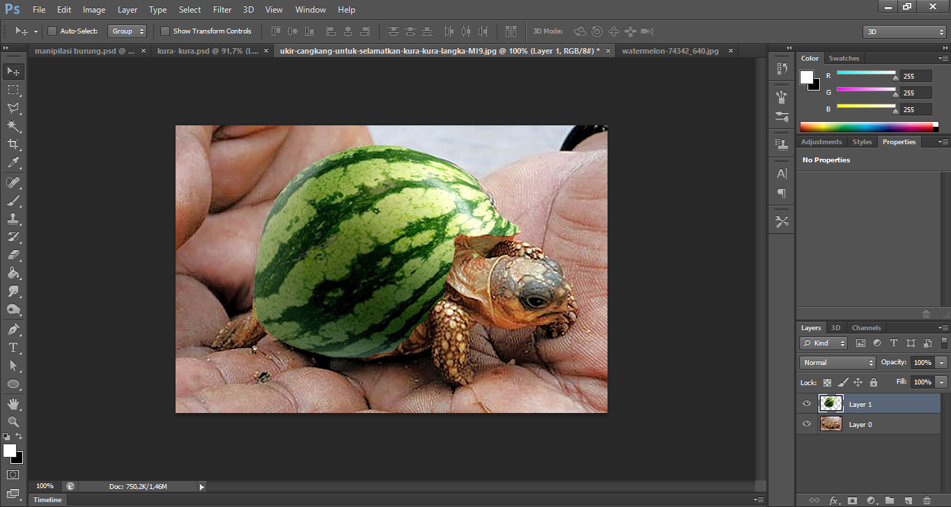 TUTORIAL MANIPULASI FOTO DENGAN PHOTOSHOP