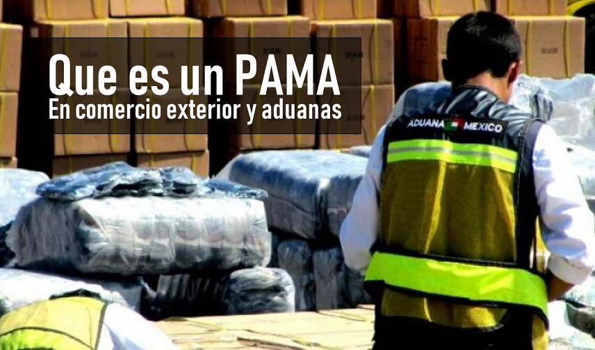 Terzer : Que es un PAMA en comercio exterior y aduanas