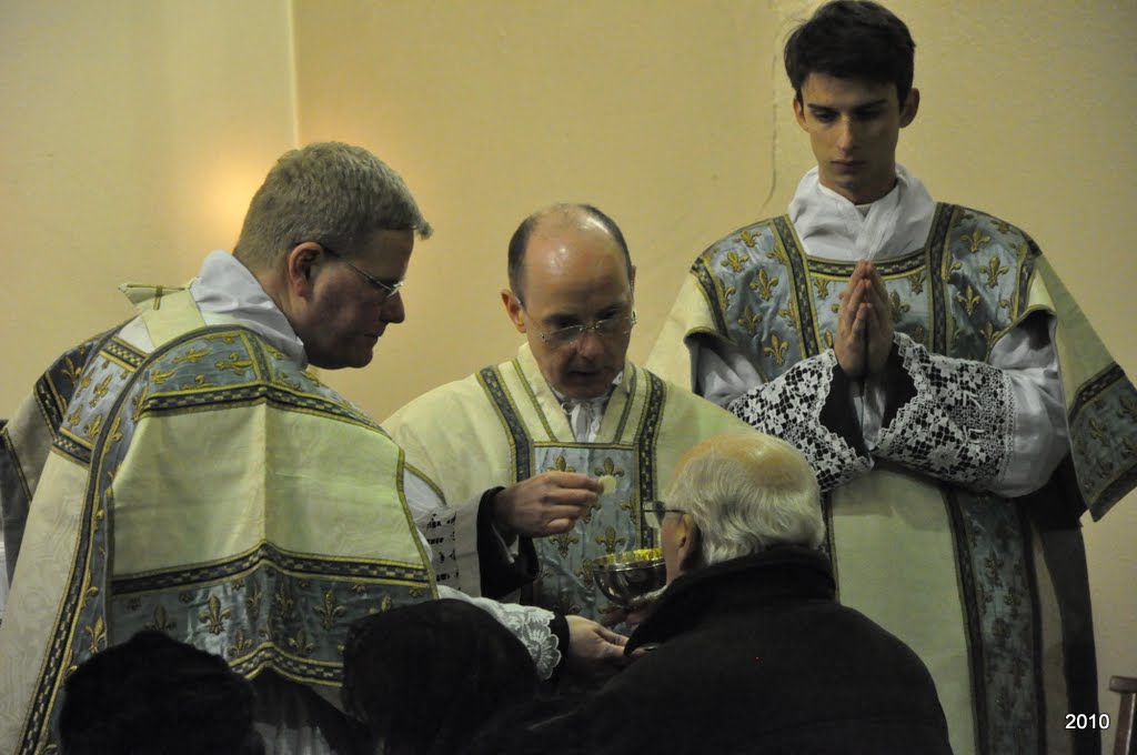 Mary and Joseph's Gem: PURIFICATION OF THE BLESSED VIRGIN MARY