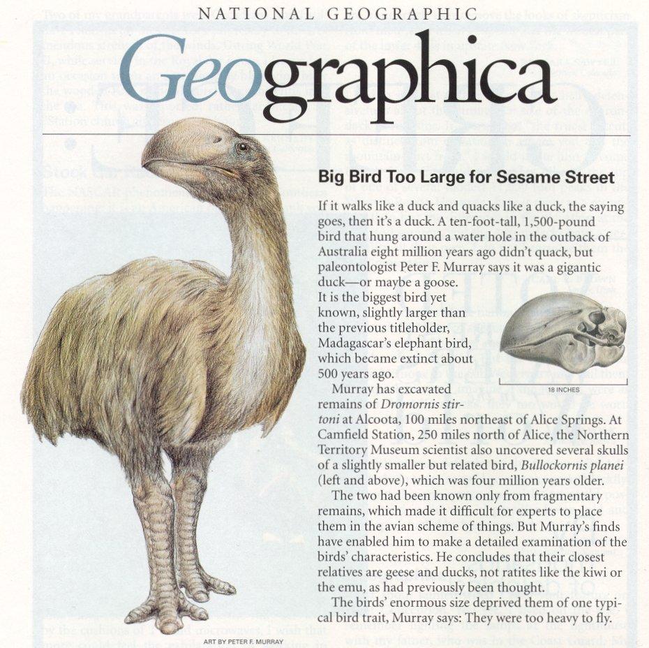 Extinct Animal of the Week: Demon-Duck of Doom