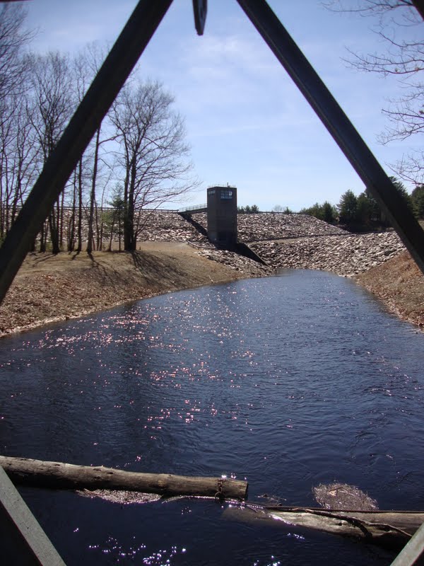 Visitng and Learning About Vernal Pools
