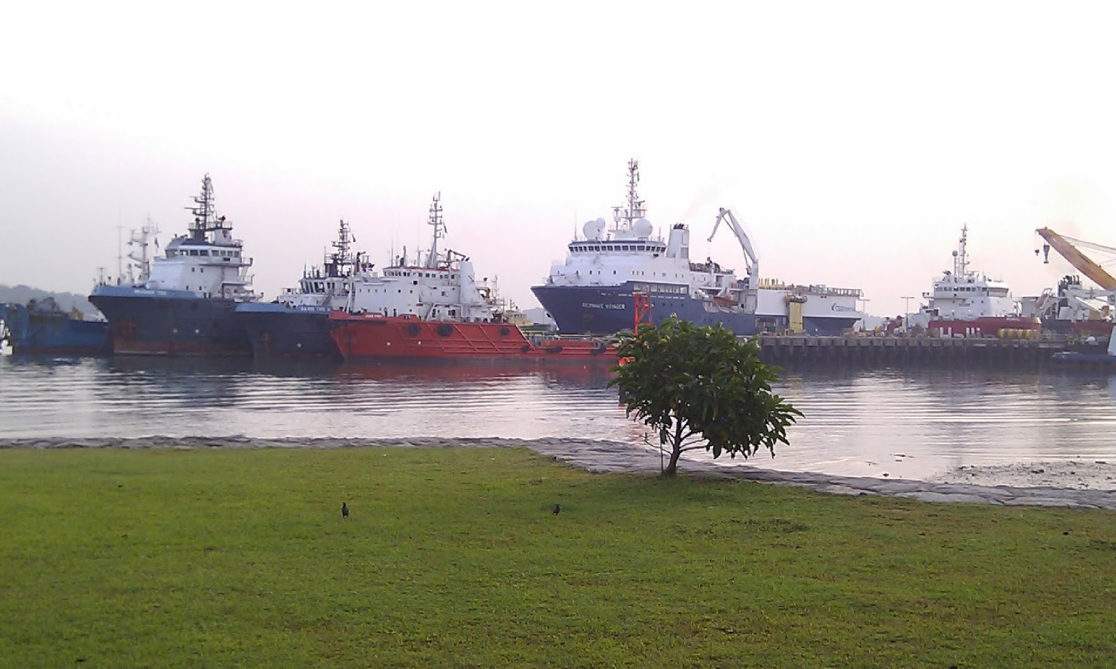 Everything Jonathan: Pasir Ris Parks