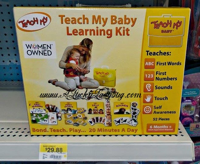 A Lucky Ladybug: Teach My Learning Sets Women Owned at Walmart