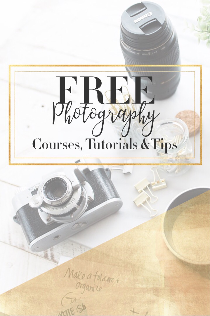 DLOLLEYS HELP: Free Photography Courses, Tutorials & Tips
