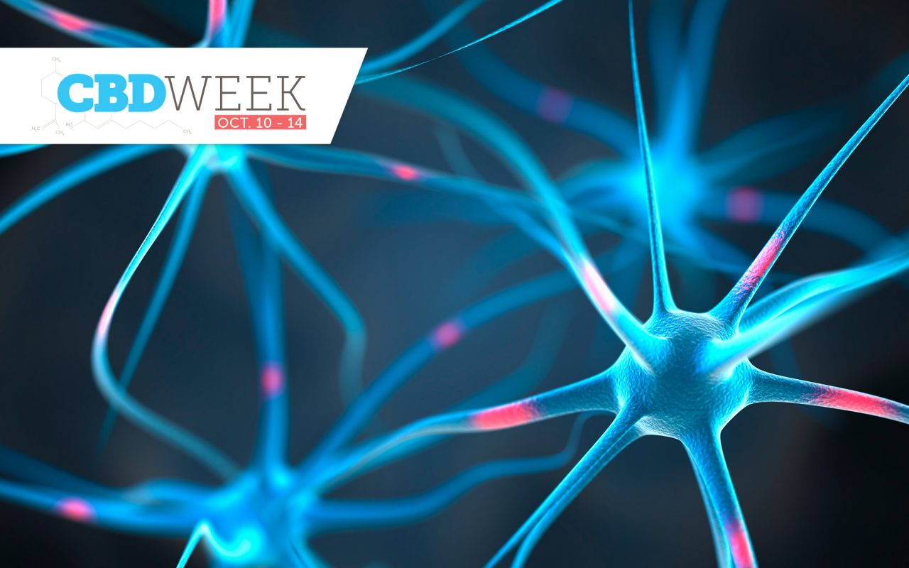 Medical Marijuana News Channel.com: CBD and the Brain: What Does It Do ...