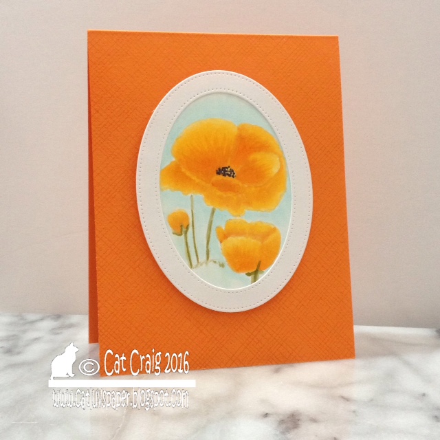 Cat Luvs Paper: California Poppies