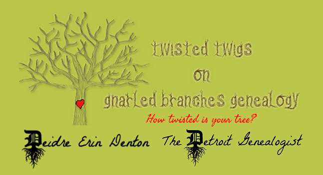 Twisted Twigs On Gnarled Branches