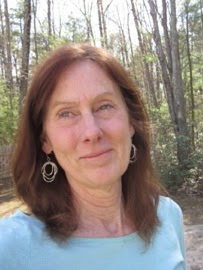 Jersey Girl Book Reviews: In The Shadow Of Revenge by Patricia Hale ...