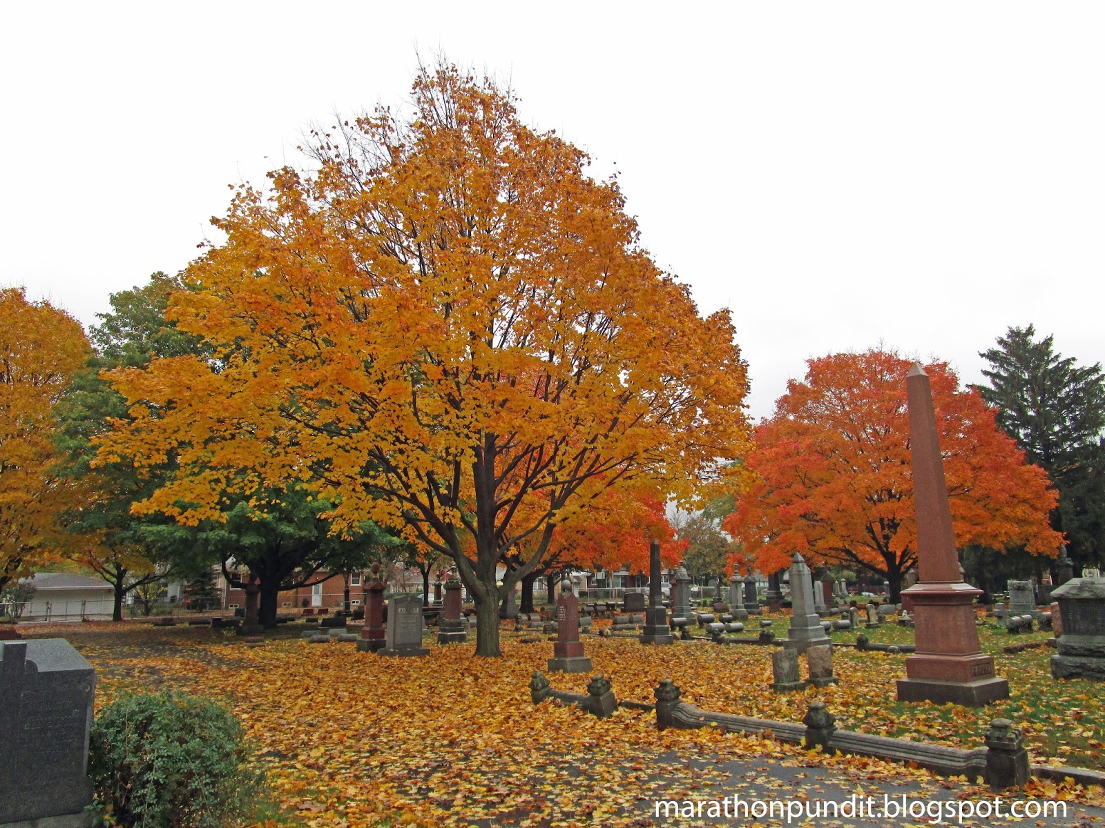 Marathon Pundit: Bright red and orange maples at a cemetery
