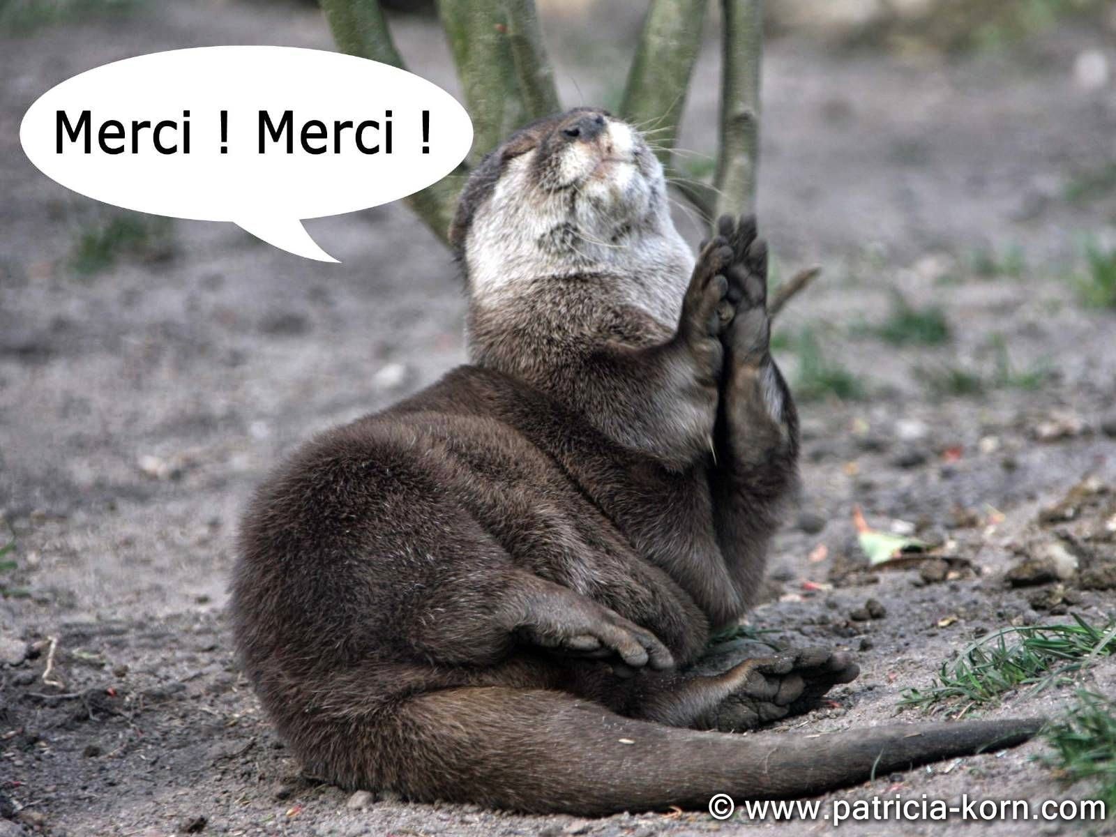 Le monde selon Moé: mai 2014