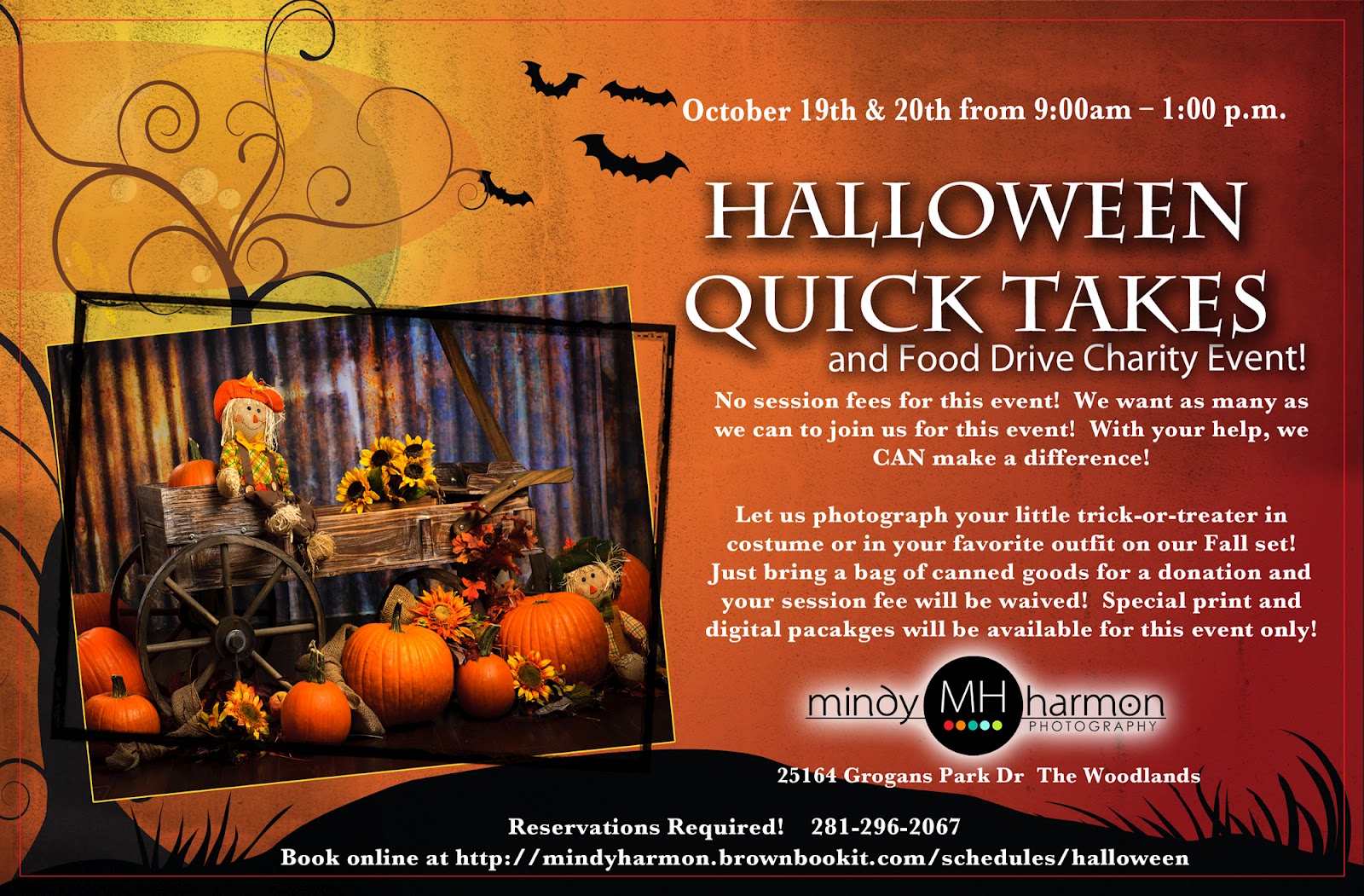 Woodlands Photographer - Mindy Harmon Photography - The Woodlands, Tx ...