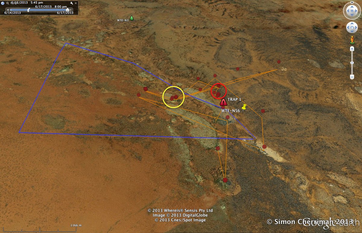 Wedge-tailed Eagle Tracking: Tracking them Down