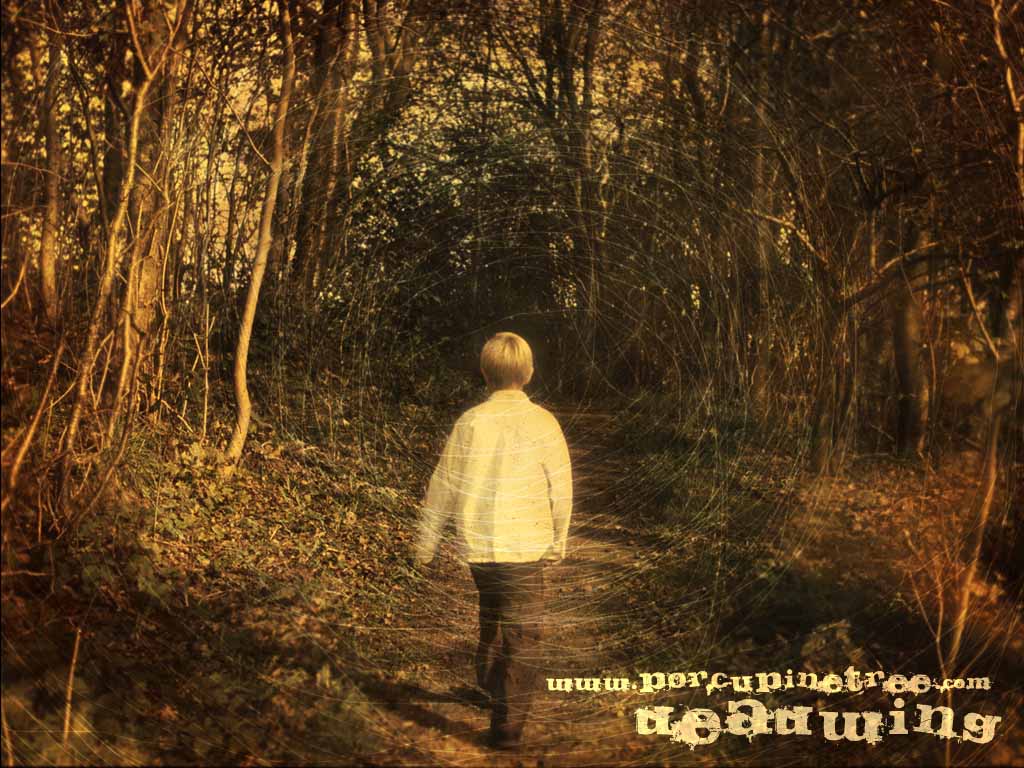 Alternative Rock: Steve Wilson Series part 1, Porcupine Tree: Deadwing ...