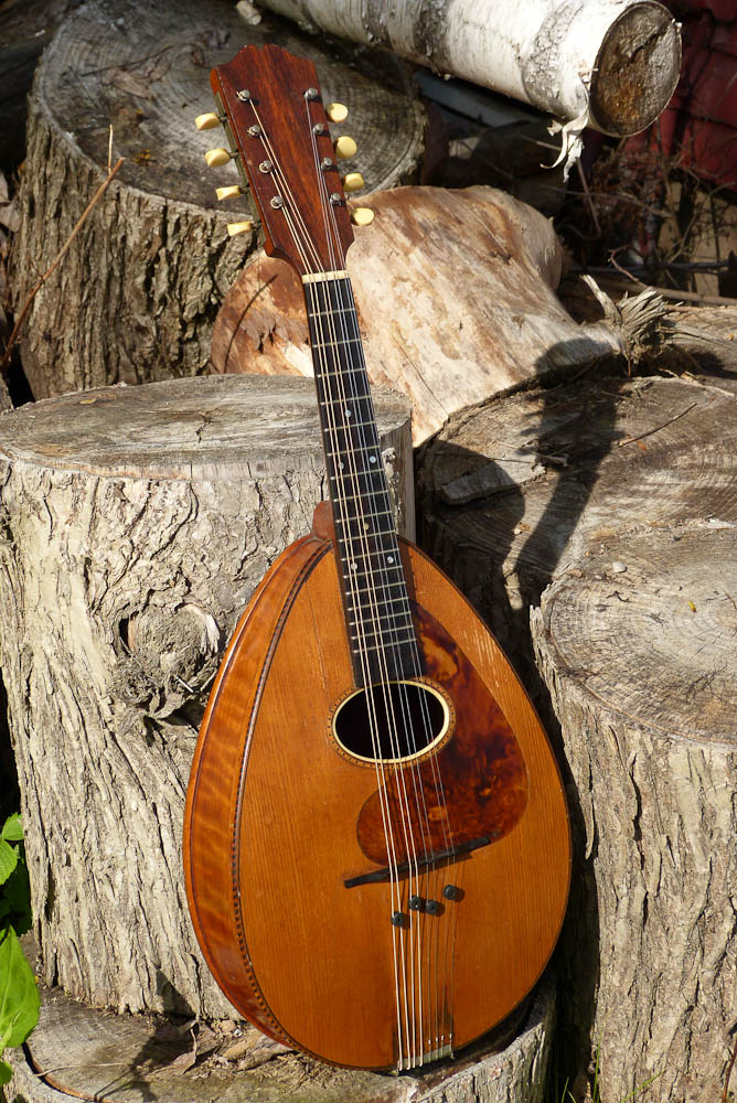 c.1923 Weymann Style 30 Mandolute Mandolin