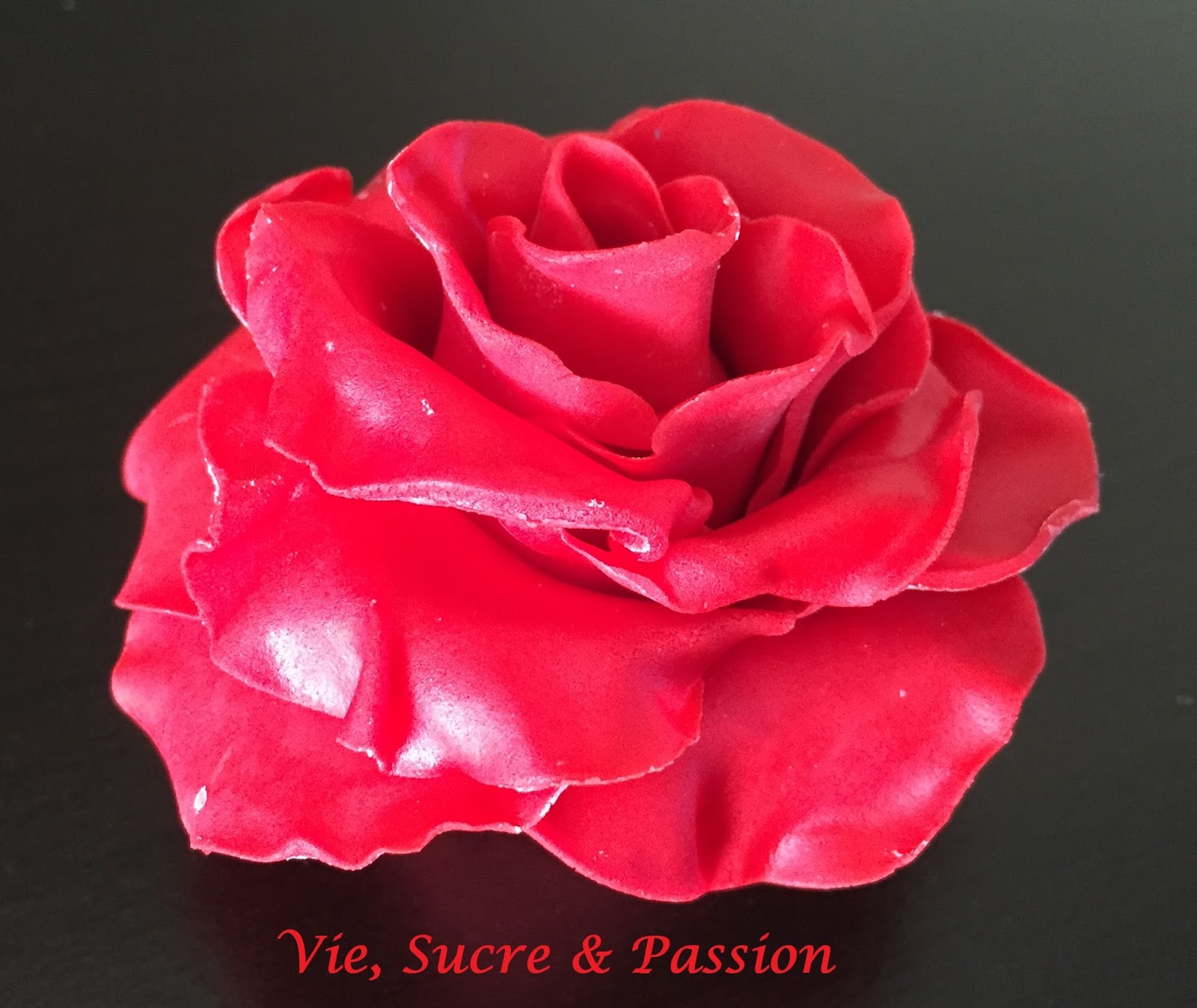 Vie, Sucre & Passion