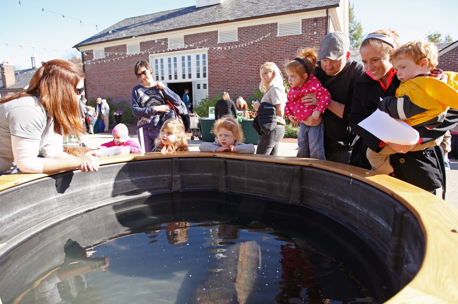 Mark Kodiak Ukena: Croctoberfest at the Wildlife Discovery Center
