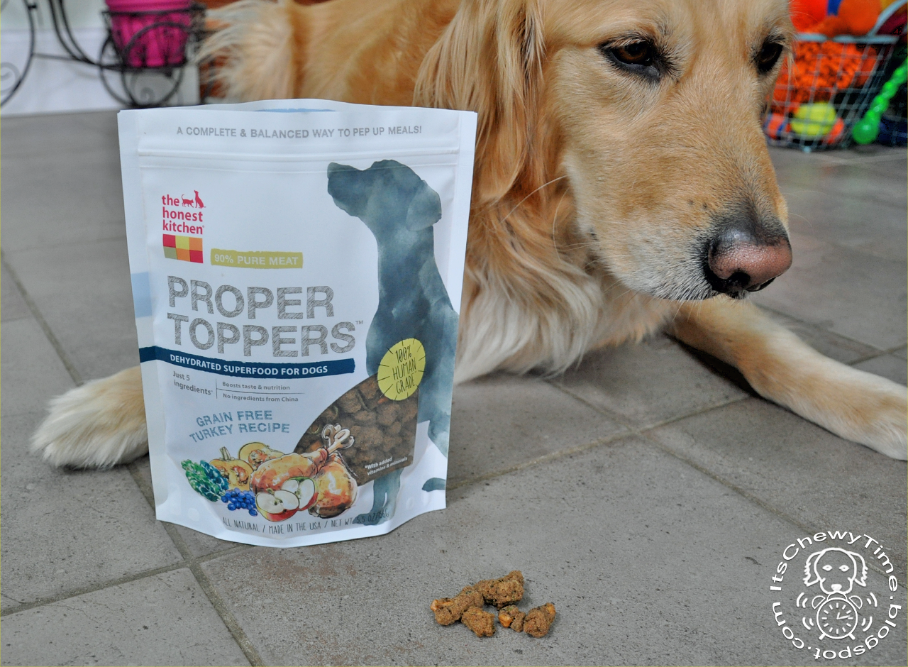 It's Chewy Time!: The Honest Kitchen Proper Toppers Grain-Free Turkey ...