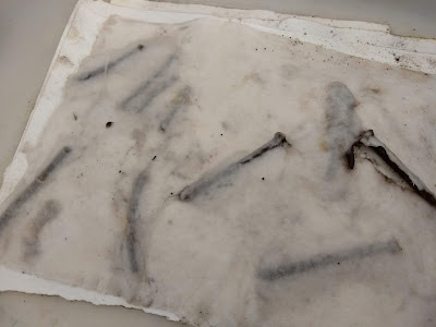 Rust Dyeing on Paper