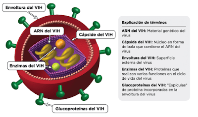 Paciente Zero: Una visión actual del VIH