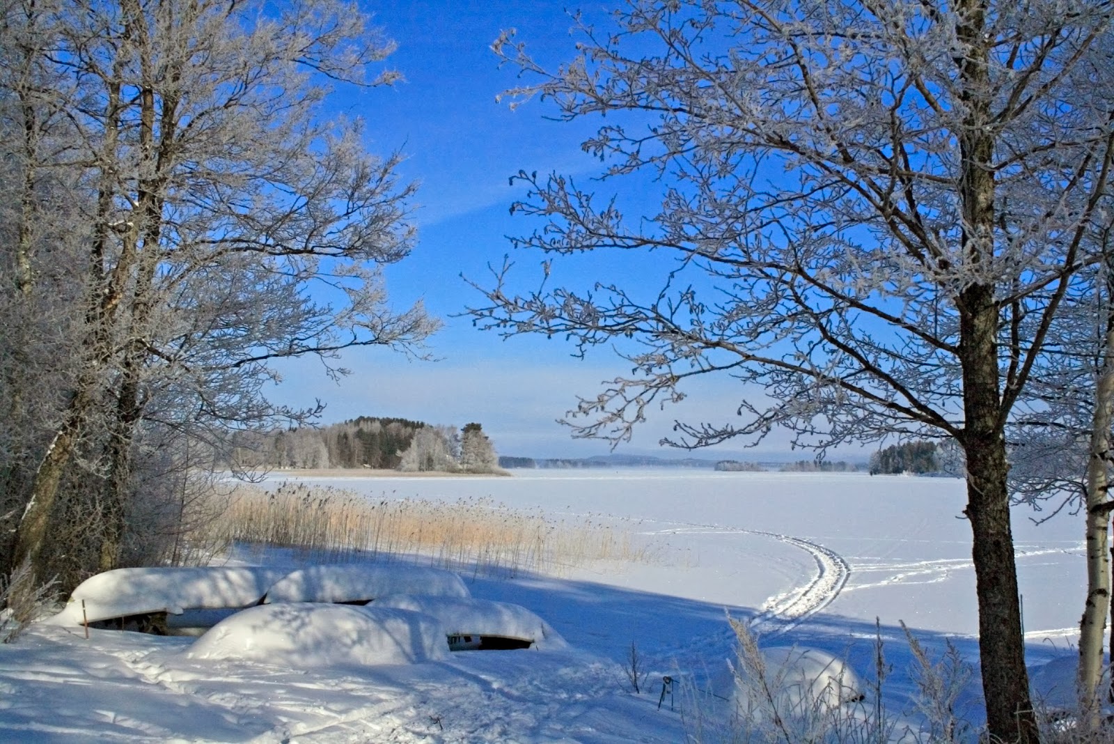 Talvikuvia - Winter photos