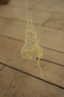 Sue Beveridge's Blog