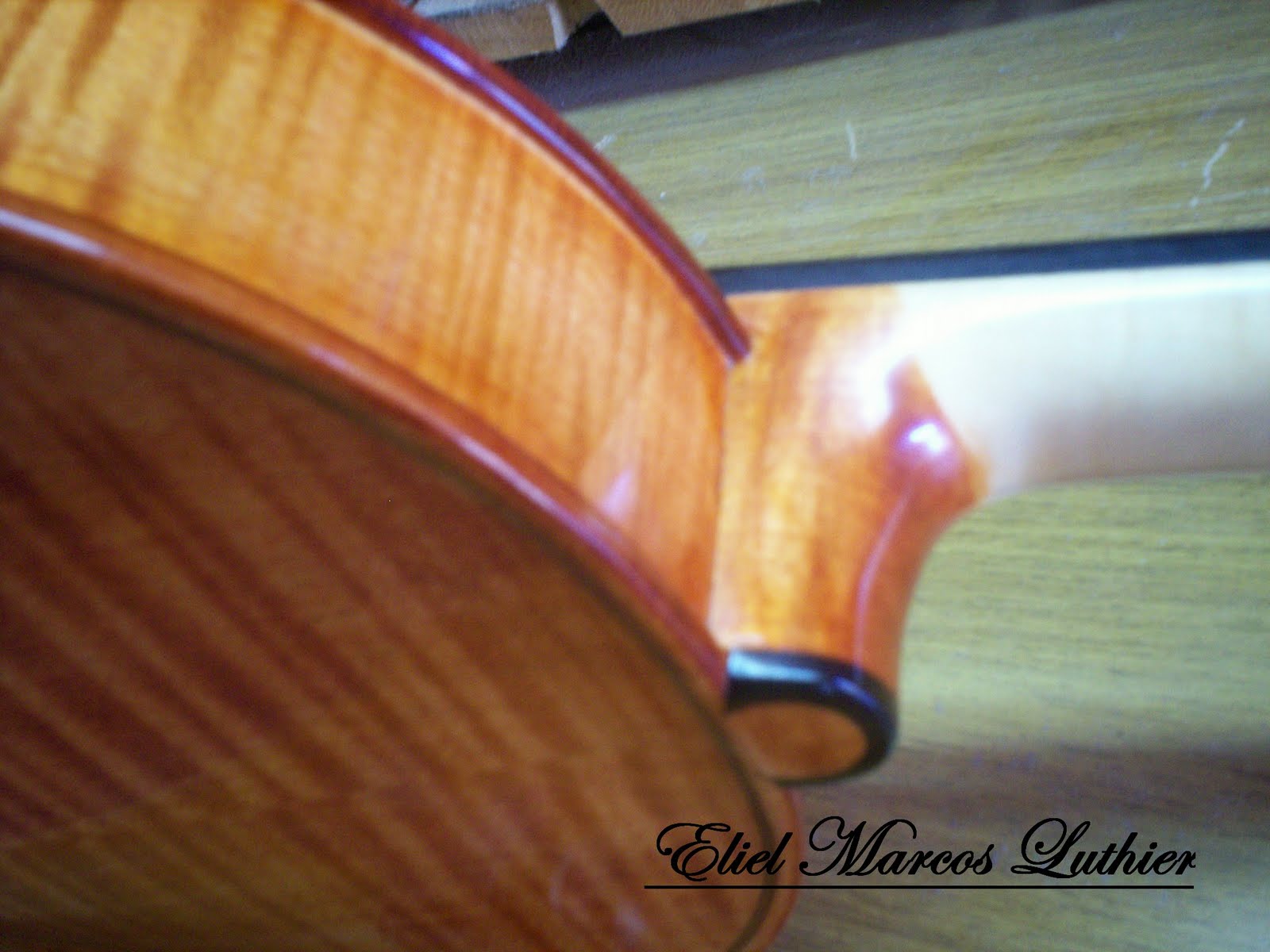 Eliel Marcos - Luthier: Viola
