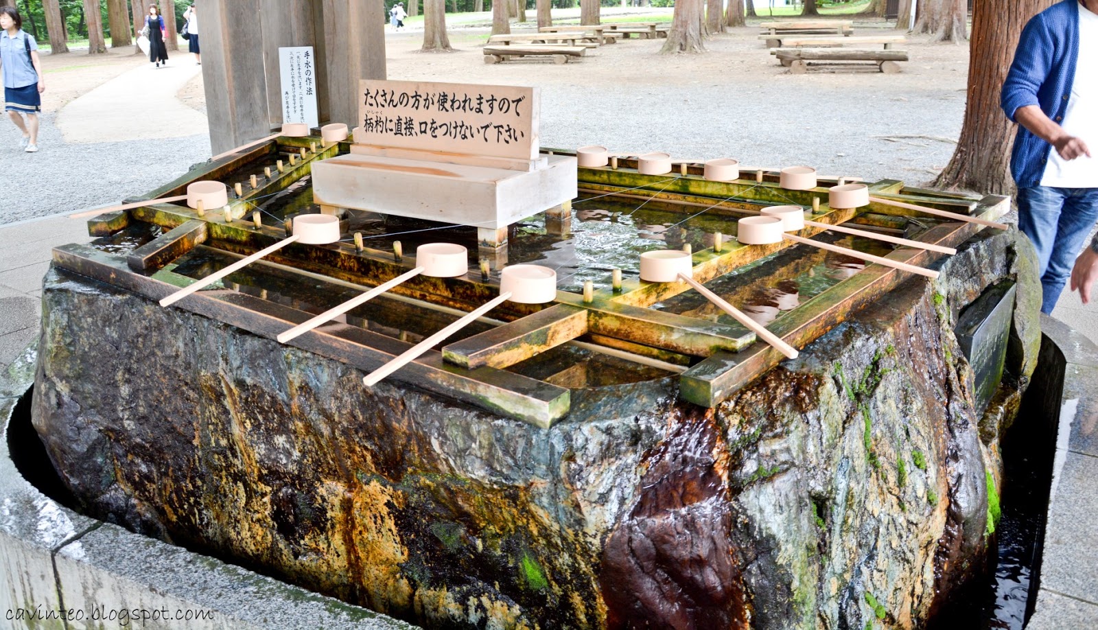 Entree Kibbles: How to Purify Yourself with Holy Water Before Entering ...