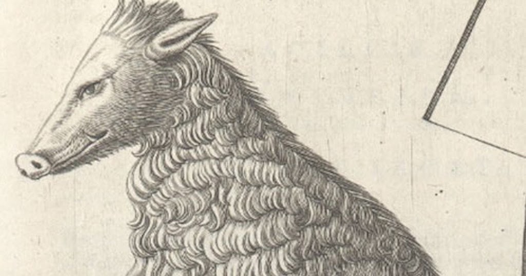 SacroProfanoSacro: Tant’è…