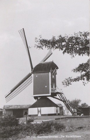 Fabio Farelli: Grote Molen/Zonder Wieken