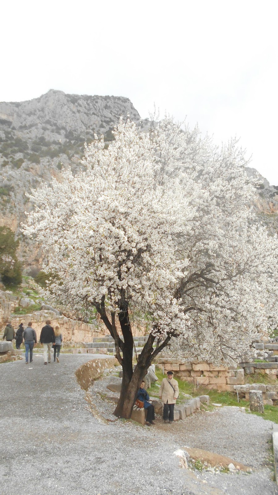 http://matiaxlois.blogspot.com: Νότα Κυμοθόη "95 Μάτια Χλόης"Ποίηση