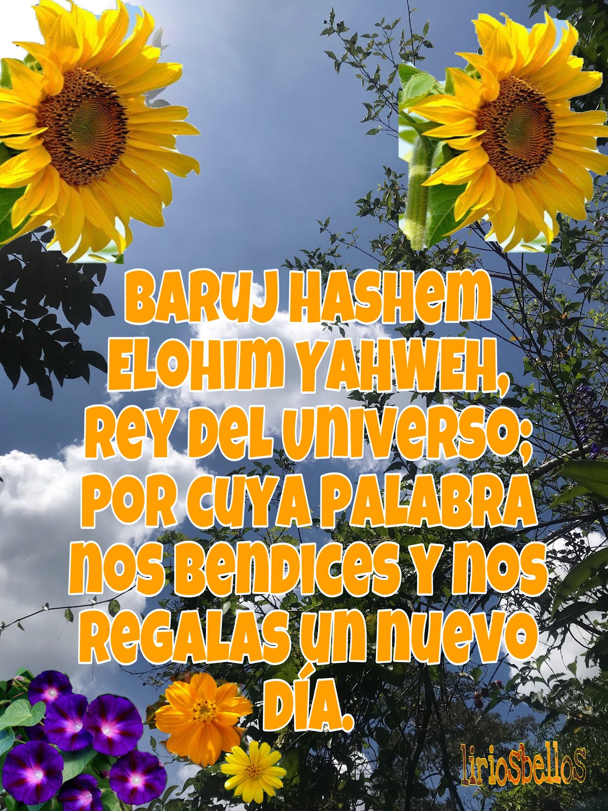 Compartamos la Palabra de Elohim: Elohim de Israel