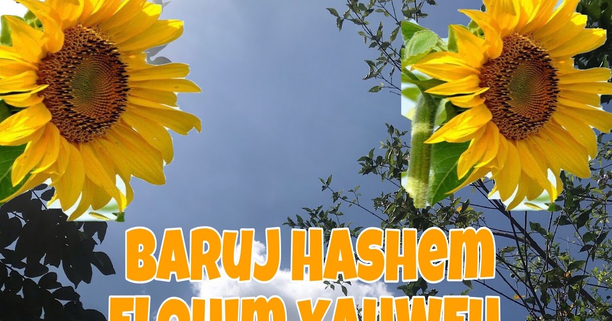 Compartamos la Palabra de Elohim: Elohim de Israel