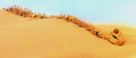 Fruitless Pursuits: StarWTF!? Episode 29: Krayt Dragon