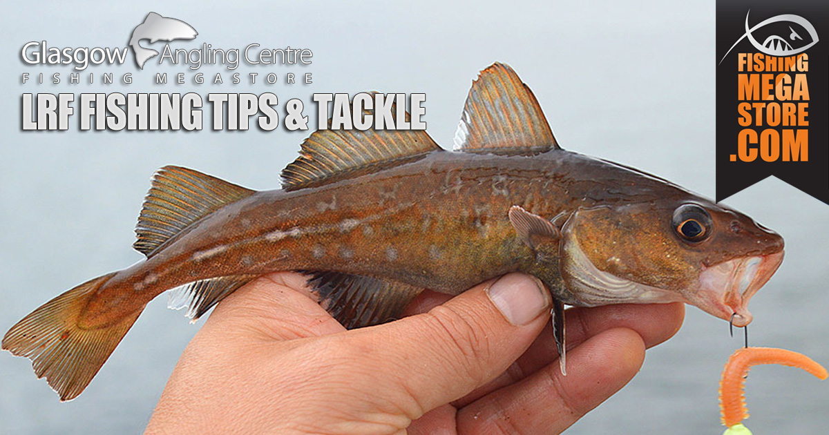 LRF Fishing Tips and Tackle