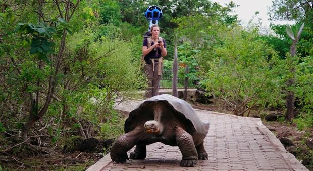 the good word groundswell: Walking the Galapagos with Google the good word groundswell: Walking the Galapagos with Google