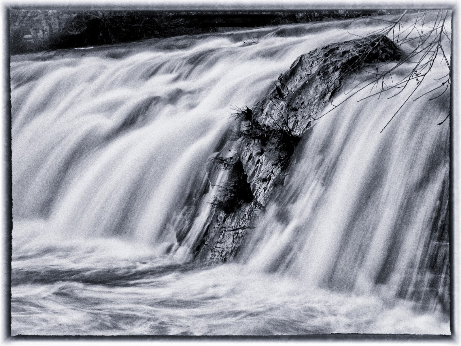 Navarra al natural: ¿Por qué NO hay que limpiar los ríos?