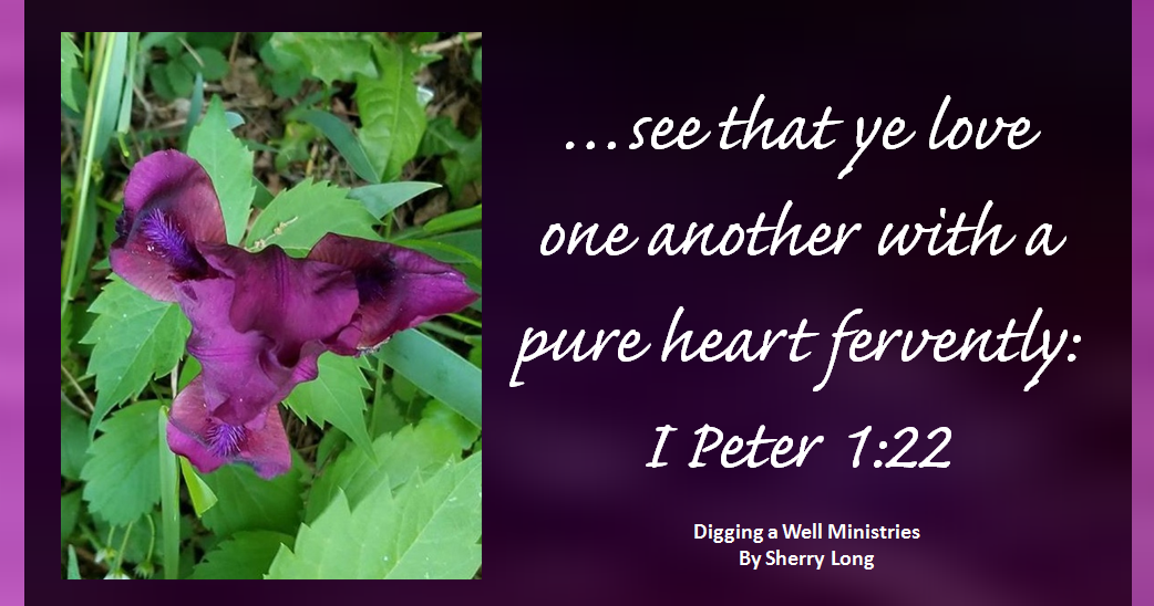 Digging a Well Ministries: LOVE WITH A PURE HEART