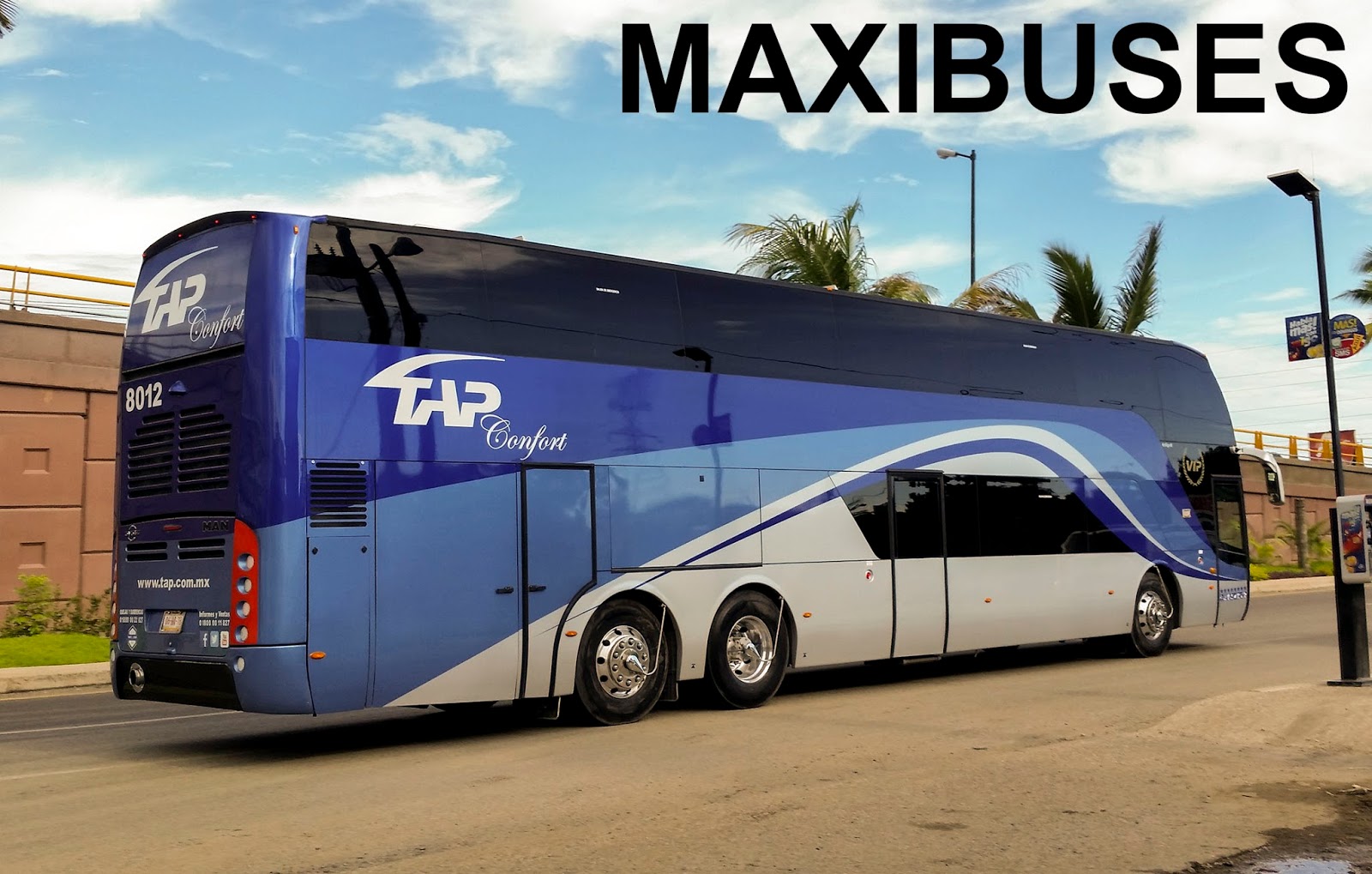 MAXIBUSES: TRANSPORTES Y AUTOBUSES DEL PACÍFICO, CONFORT (TAP CONFORT VIP)