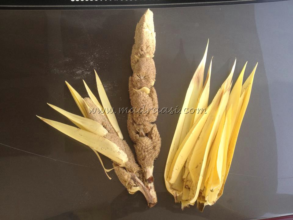 Kasi Visvanath temple, Varanasi and the legend of Jyothir Linga ...